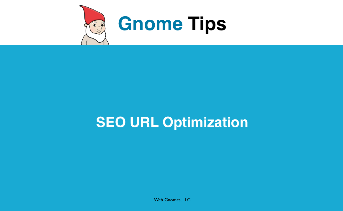 SEO URL Optimization | Web Gnomes